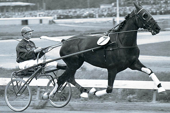 Les champions (hommes et chevaux) | LETROT